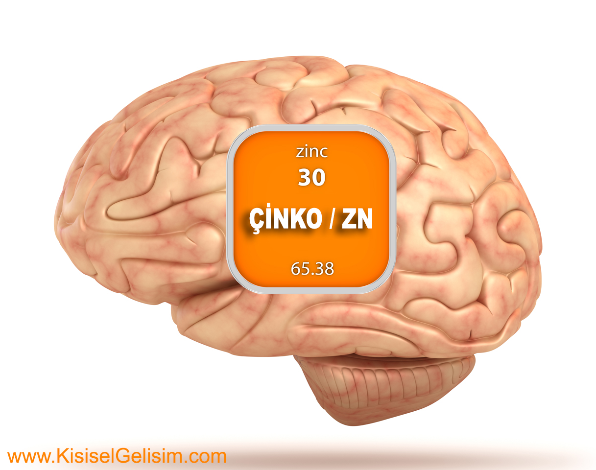 Çinko Eksikliği ve Çinko Eksikliğinin Beyindeki Etkisi