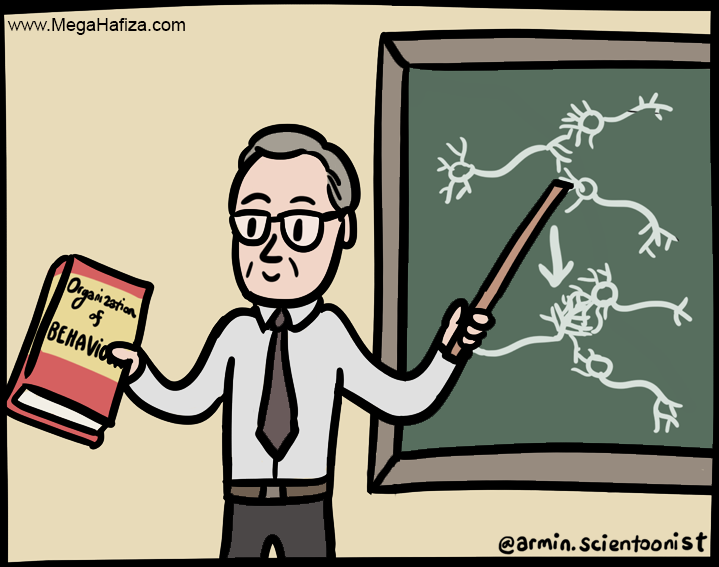 Donald Olding Hebb, Beyin ve Öğrenmede Hebbian Teorisi