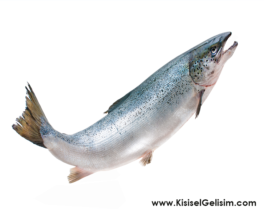 Balık Yemek - Fazla Balık Yemek Sağlıklı mı?