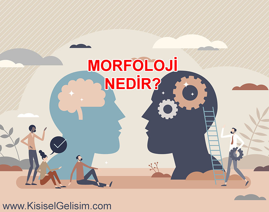 Morfoloji (Dil Bilimi) - Dil Bilimi İçinde Morfoloji Nedir?