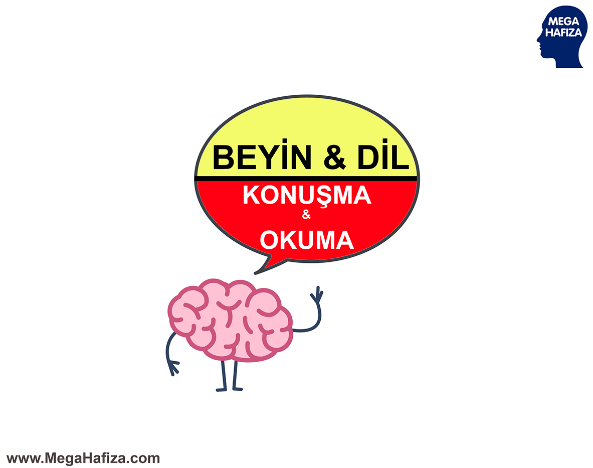 Beyin, Okuma ve Dil - Konuşmanın ve Okumanın Bilimi